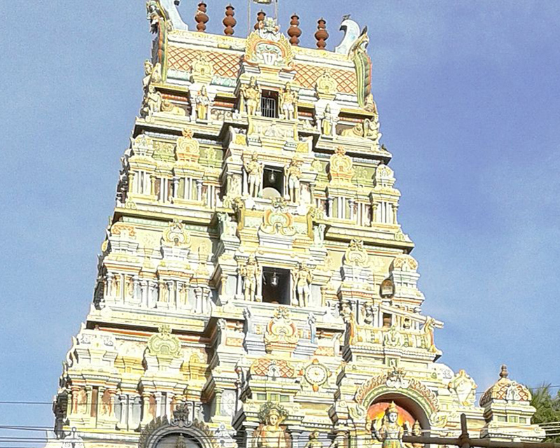 Mahavishnu Alvars & Divya Desam